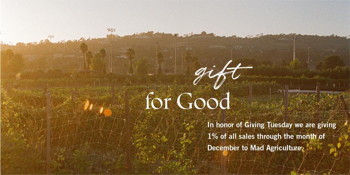 west~bourne 〰 plant + planet forward, feel good snacks, spices